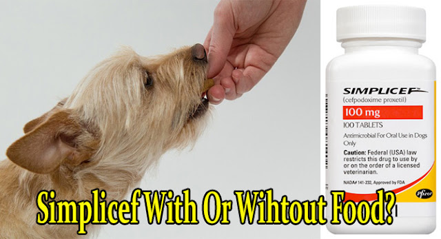 Does Simplicef (Cefpodoxime) Need To Be Given With Food?