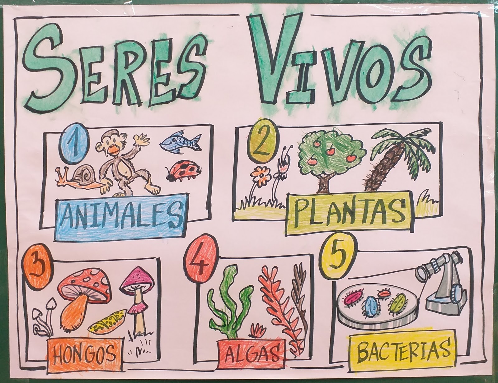 El Monstruito en Monteagudo: Los seres vivos.