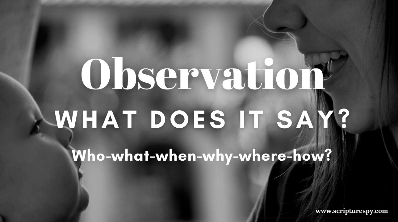 Scripture Spy : Bible Observation