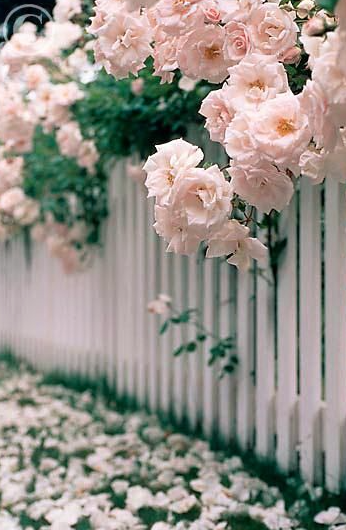 Natventures: JUST PRETTY THINGS