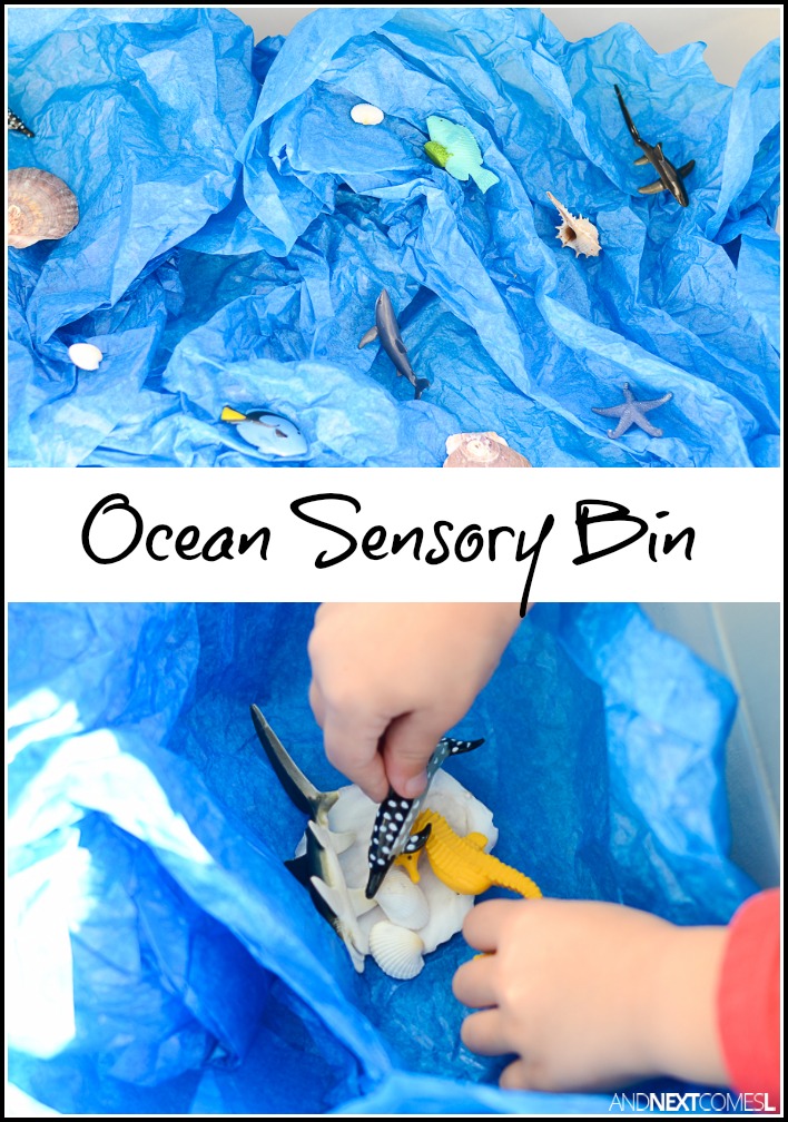 Ocean Sensory Bin | And Next Comes L - Hyperlexia Resources