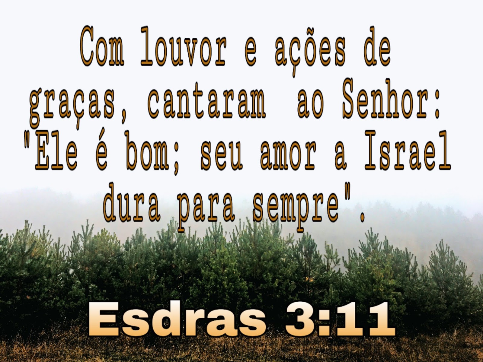 Palavra Eficaz : “Altar e Templo”– Esdras 3