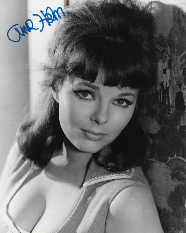 30 Glamorous Photos Of Anne Helm In The 1950s And 60s ~ Vintage Everyday