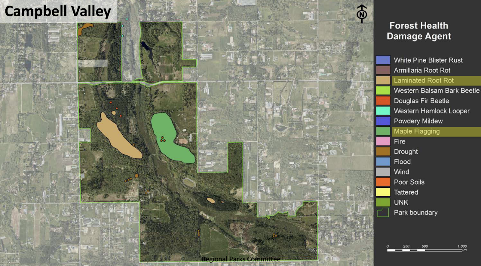 The South Fraser Blog: Forest Health in Regional Parks
