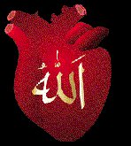 TAZKIYA (PURIFICATION OF THE SOUL) - QUOTES, ARTICLES AND ANECDOTES ...