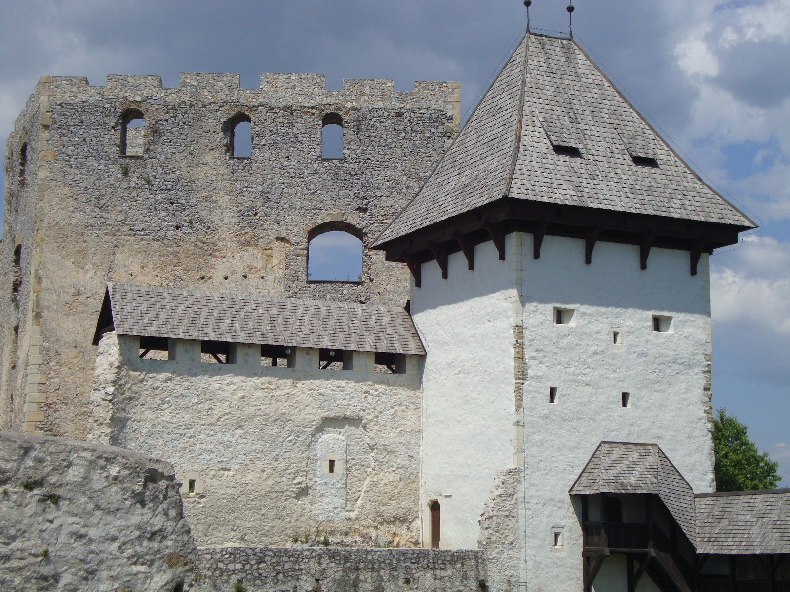 Moji zapisi: Danes Celjski grofje in nikdar več