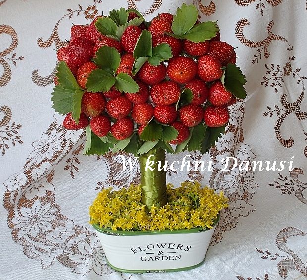 CO MI W DUSZY GRA: DRZEWKO TRUSKAWKOWE