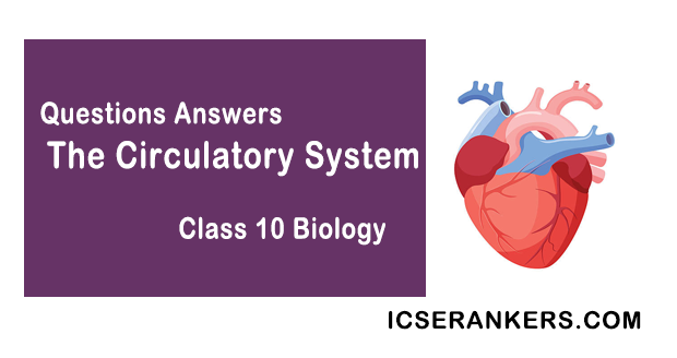 Selina Concise Ch 6 The Circulatory System ICSE Solutions Class 10 Biology