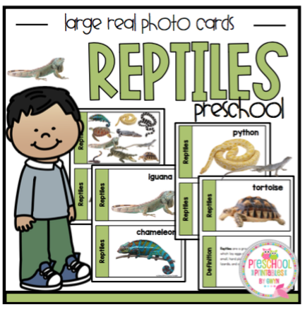 Reptiles Large Real Photo Cards ~ Preschool Printables