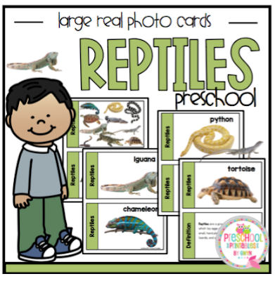 Reptiles Large Real Photo Cards ~ Preschool Printables