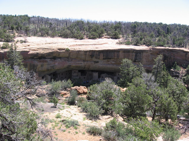Four Corners Hikes-Mesa Verde: Spruce Tree House Ruins Trail
