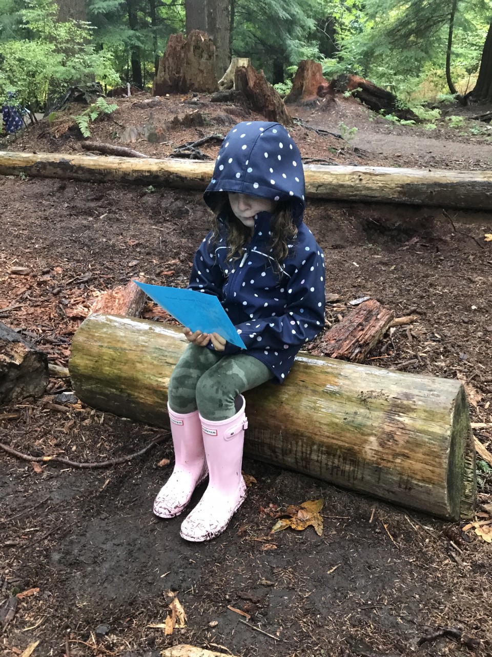 Mrs. Batista's Classroom: Outdoor Learning; Sit Spot