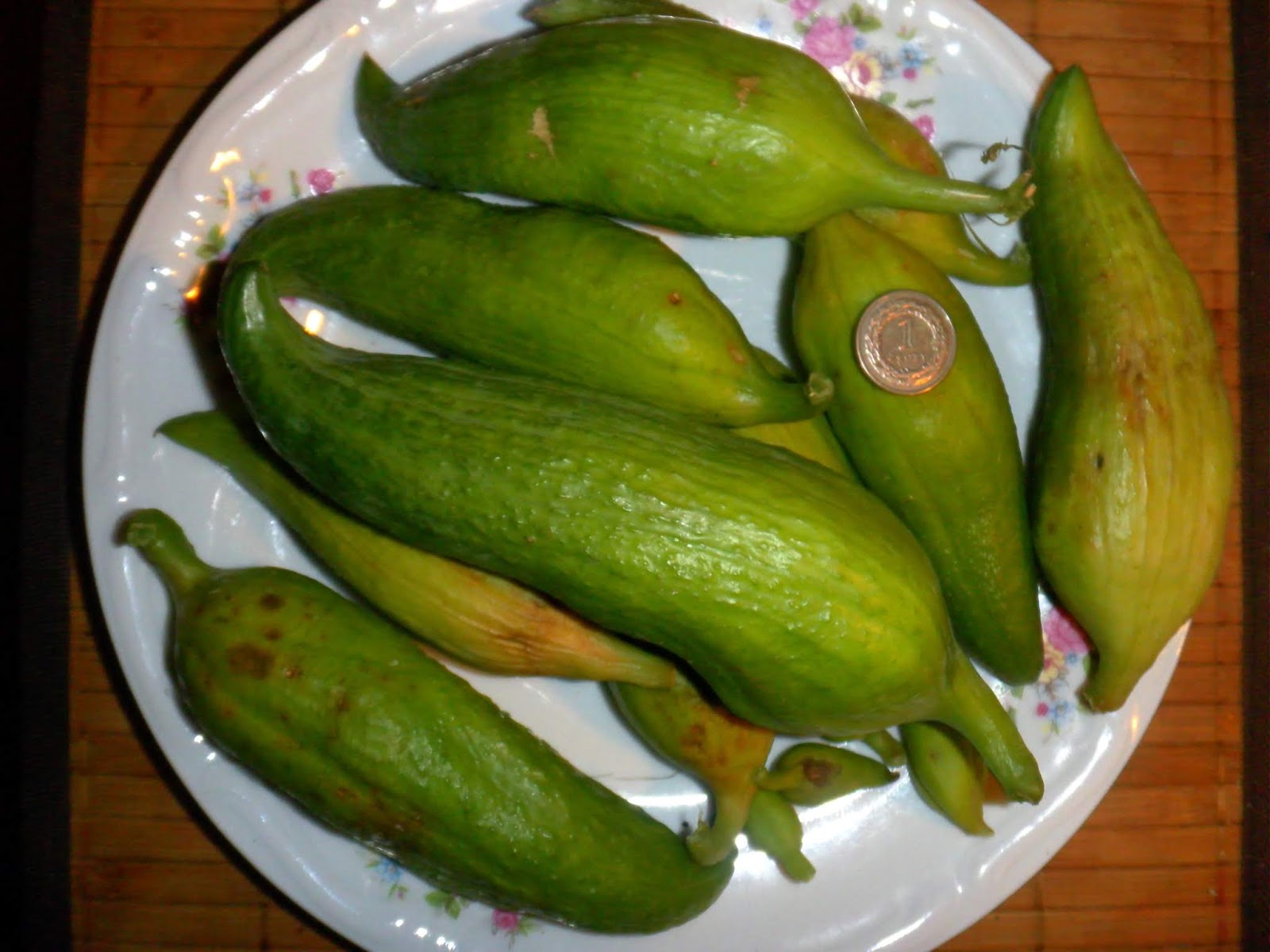 Scirpidiella's Plants: Edible Achoccha species (Cyclanthera sp. div.)