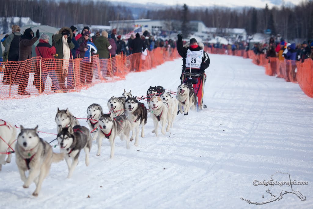 Arctis Carts: Mushing Events in Alberta & Ontario Coming Up