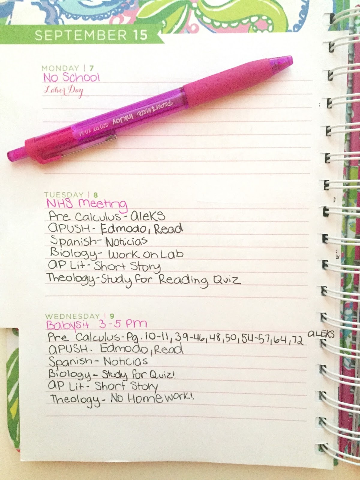 Chic in Carolina: How I Organize My Agenda