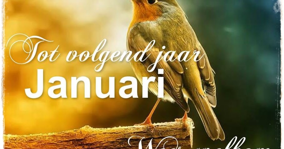 Alice in Hobbyland: Dag januari, hallo februari