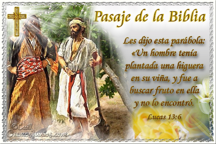Vidas Santas: Santo Evangelio según san Lucas 13:6