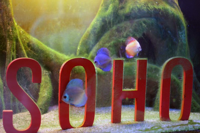 octubre 2019 ~ Minoría de Uno Solo