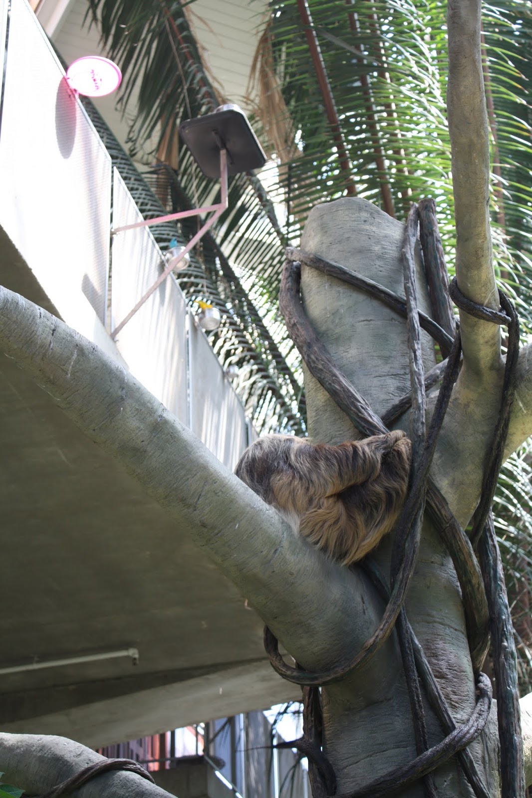 A Little Time and a Keyboard: Como Park Zoo and Conservatory in St ...