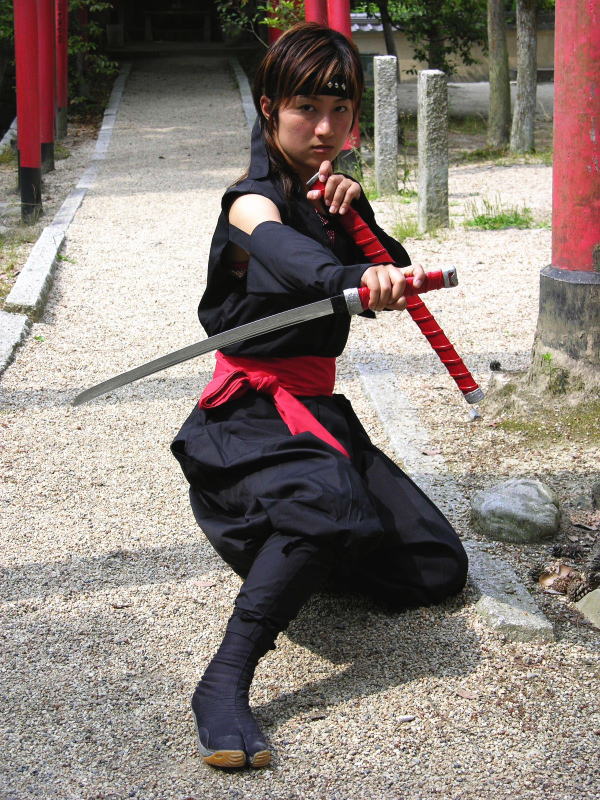 Budoshin Dojo: Kunoichi