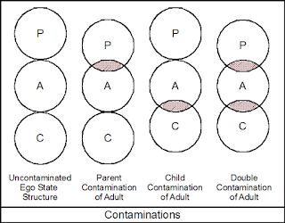 Transactional Analysis for Beginners: 00.02 TA Theory of Personality