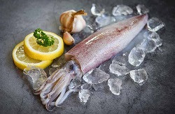 Kalamar Nedir ? | Faydaları Nelerdir