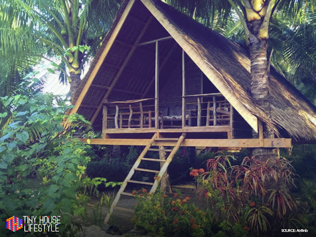 Coconut Treehouse