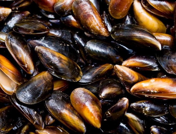 FOOD SAFETY: Cholera: Bacterial infection of small intestine