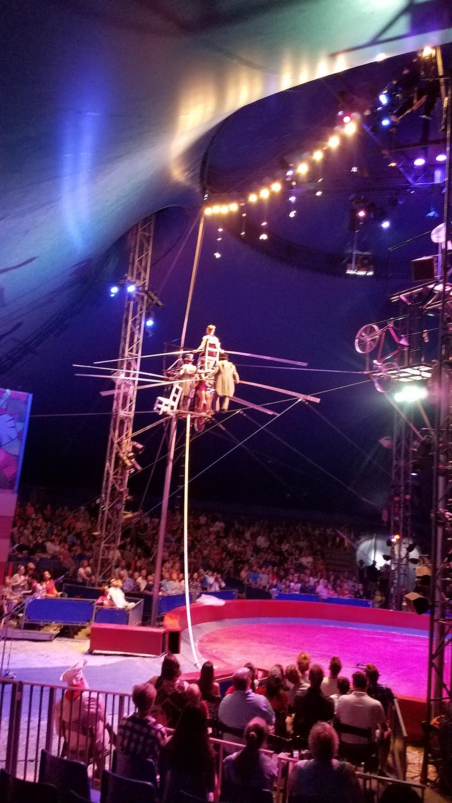 Bob Delaney At Large: Helping Circus Flora End Its Season Right