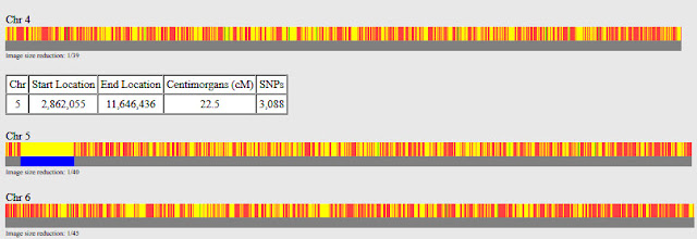 The Ultimate Family Historians: How to use GEDmatch - Part 1