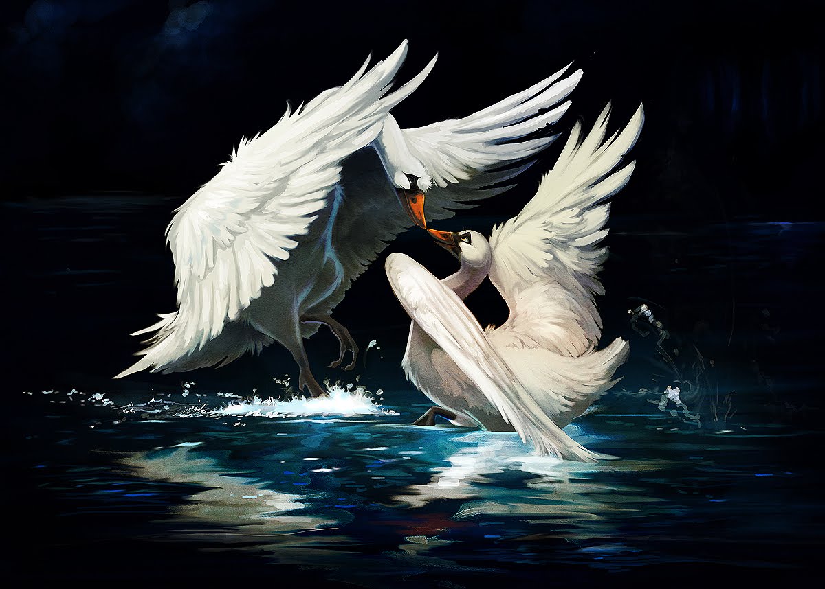 Swan Lake Wallpaper - Wallpapers Desktops