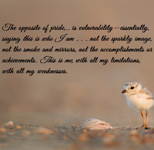 54 Thought-provoking Quotes from Present Over Perfect by Shauna Niequist