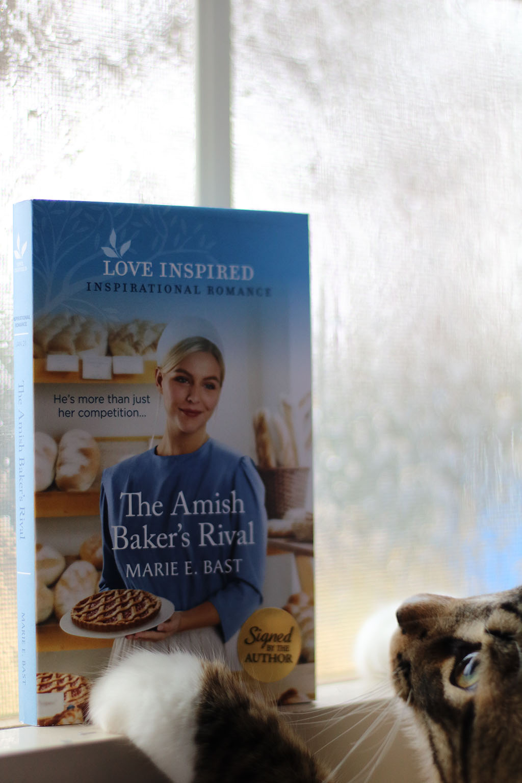 Diary of a Stay at Home Mom: { The Amish Baker's Rival by Marie E. Bast ...