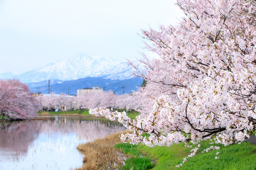 DELUXSHIONIST | Asia Luxury Travel, Fashion and Lifestyle Blog