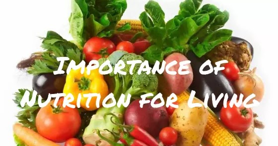 Why and what you need to know about nutrition explained - Maintaining ...