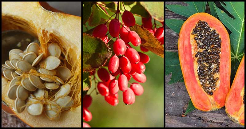 Get Rid Of Intestinal Parasites With The Help Of These Remedies | Dr ...
