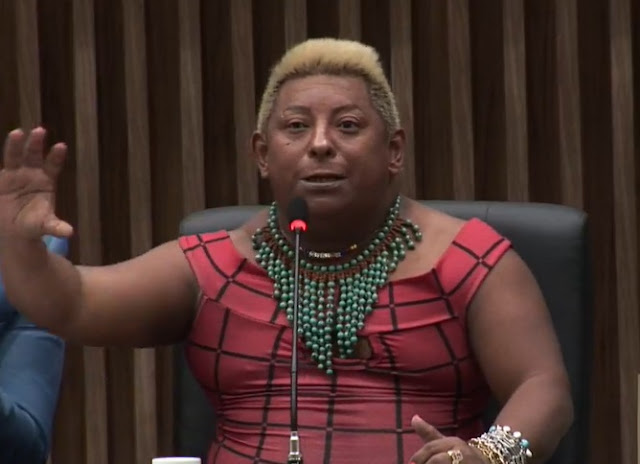 Veja o vídeo: Patixa Teló representa PCDs em audiência pública na CMM ...