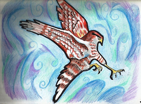 El color de los andes: El Gavilán.