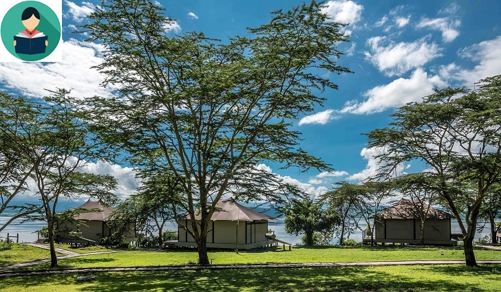 BUYING LAND IN KENYA