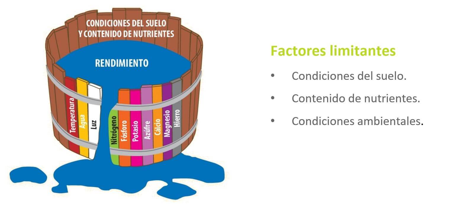 Ivernalia: 1º Bachillerato Biología y Geología UD 3 La biodiversidad