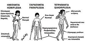 Δρ. Ράνια Χιουρέα- Συμβουλευτική & Υποστήριξη Γονέων & Εκπαιδευτικών ...