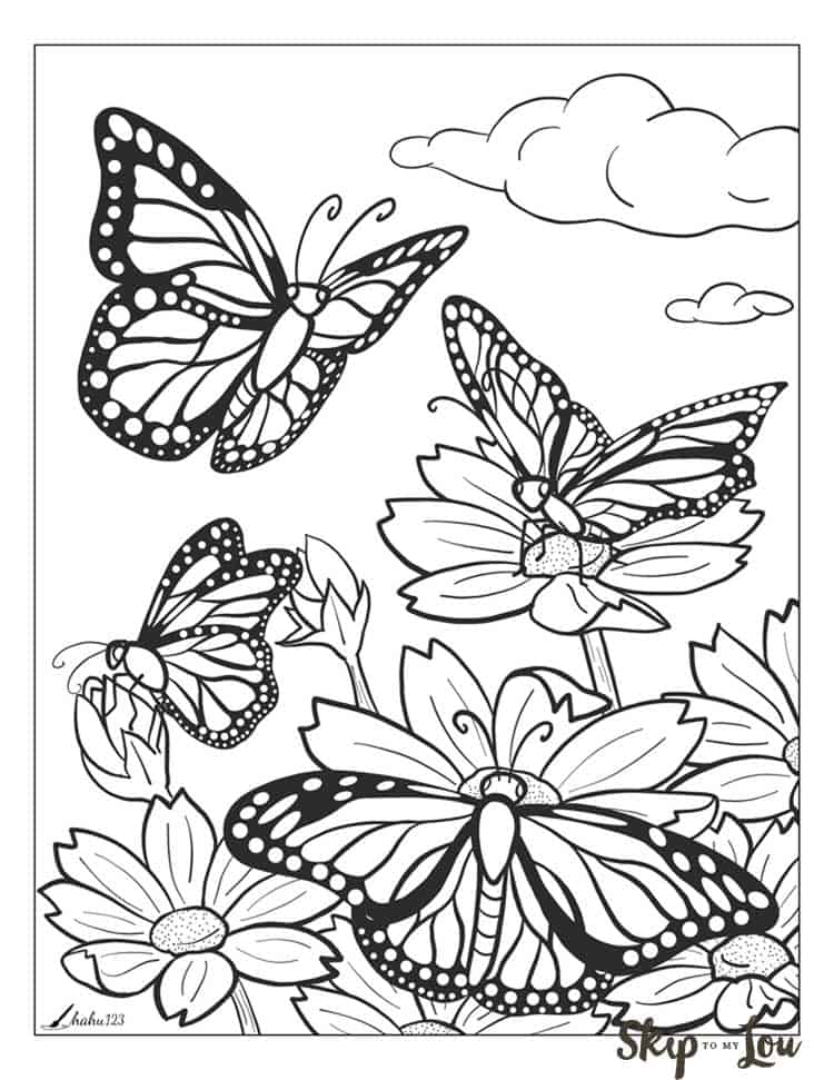 Coloring Pages Butterfly ~ Coloring Print