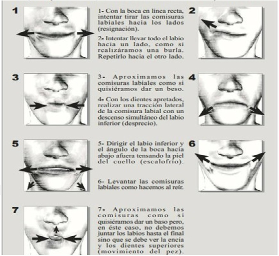 TONIFICACIÓN LABIALEscuela musical CC y TT