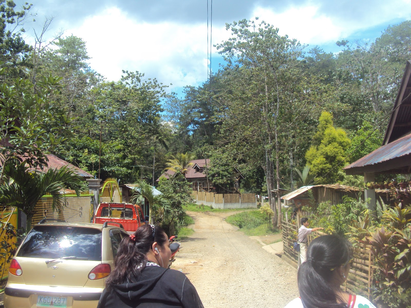 EXPLORE MALAYBALAY CITY: The View from the Famous Two Trees