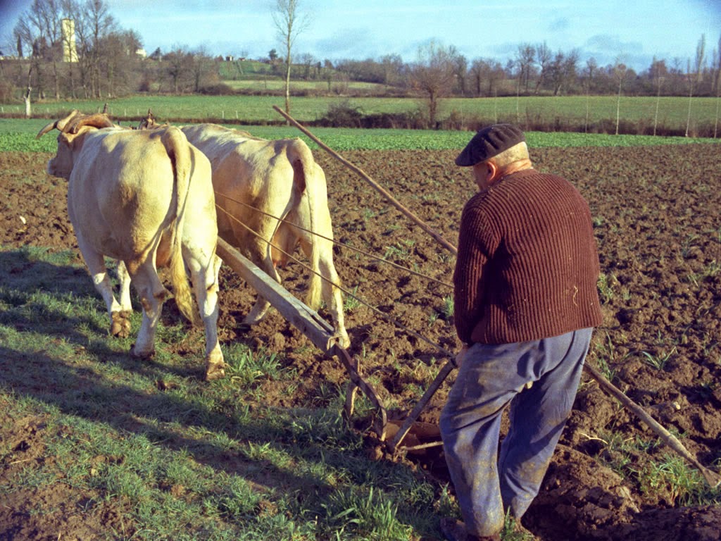 The Beret Project: Le Laboureur