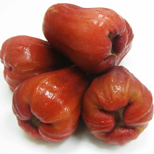 Caraka Purwo Wibisono: Mengenal manfaat dan khasiat buah jambu air ...