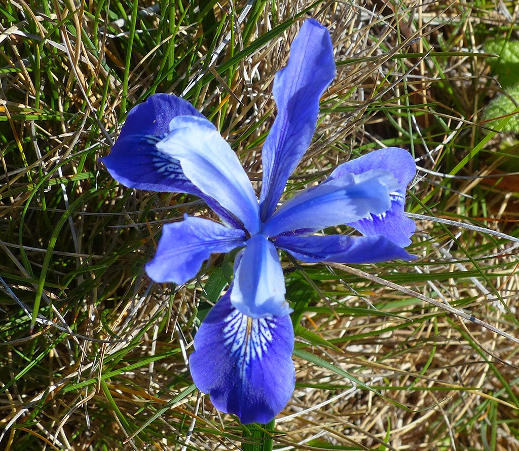 Calahan Fine Art Blog