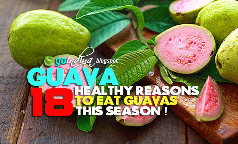Top 18 Healthy Reasons to Eat Guavas This Season! Health Benefits of ...