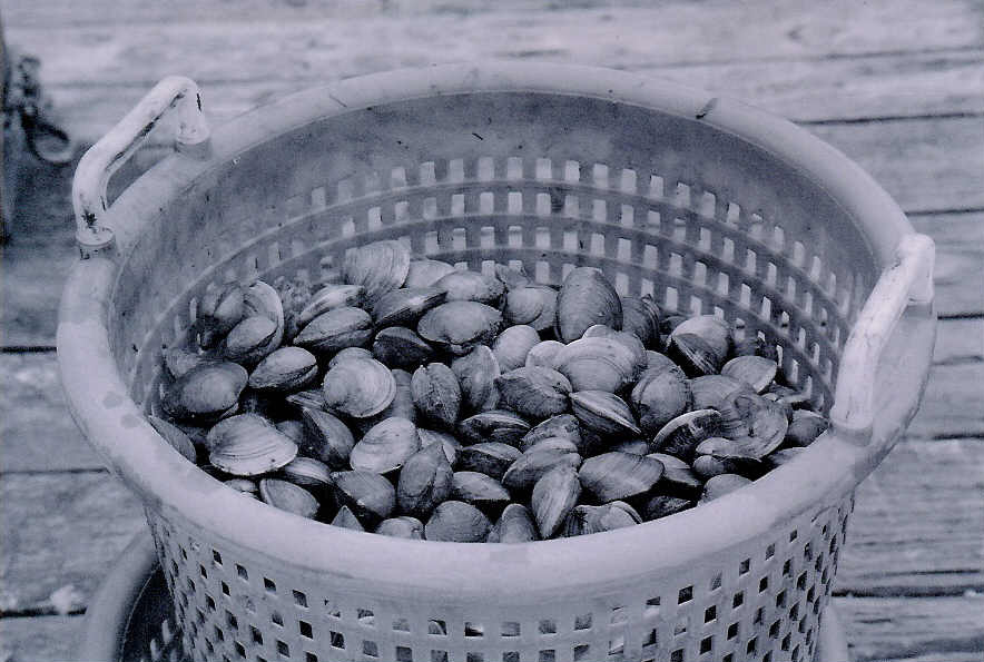 Charleston Photos: Clam Basket
