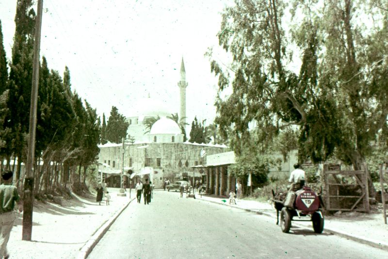 Israel in the 1950s Through Amazing Color Pics ~ Vintage Everyday